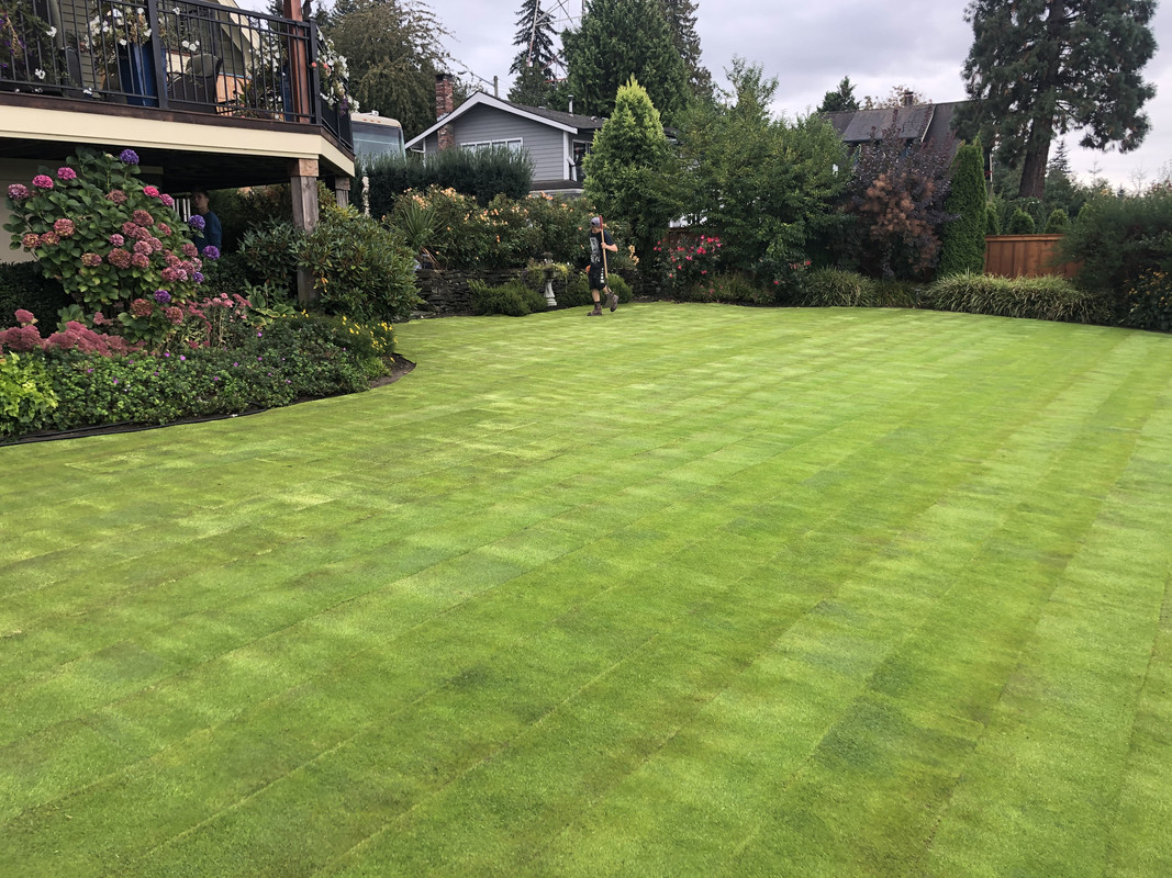 E50 FB802 ECFF 4956 8824 F459 C6 D25 F20 — Postimages