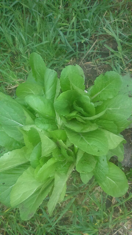 IMG 20190610 201049 098 — Postimages