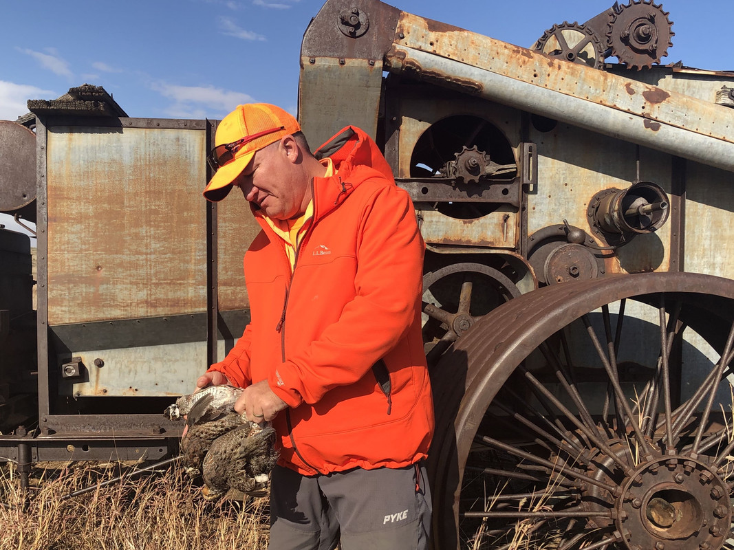 IMG 2096 — Postimages