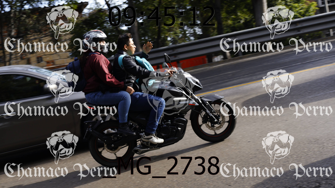 Muestra MG 2738 — Postimages