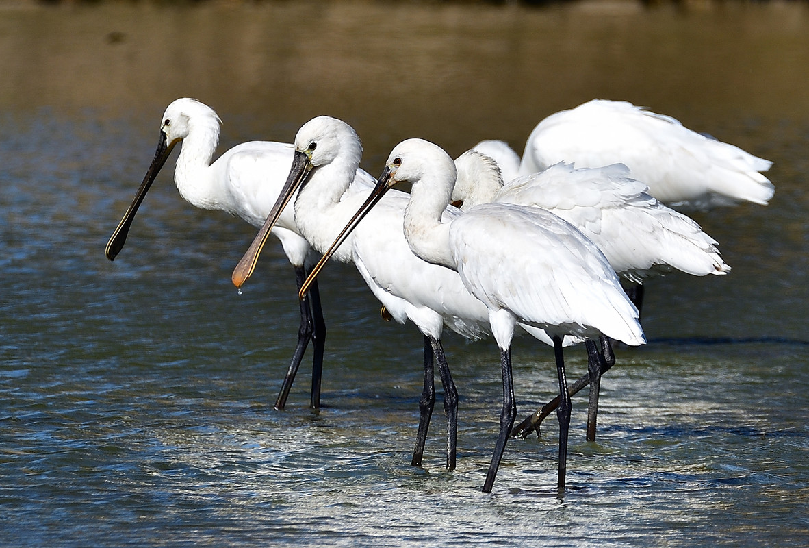 DSC 1359 — Postimages