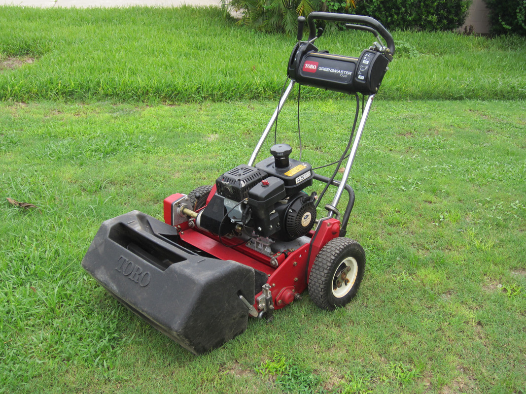 IMG 1269 — Postimages