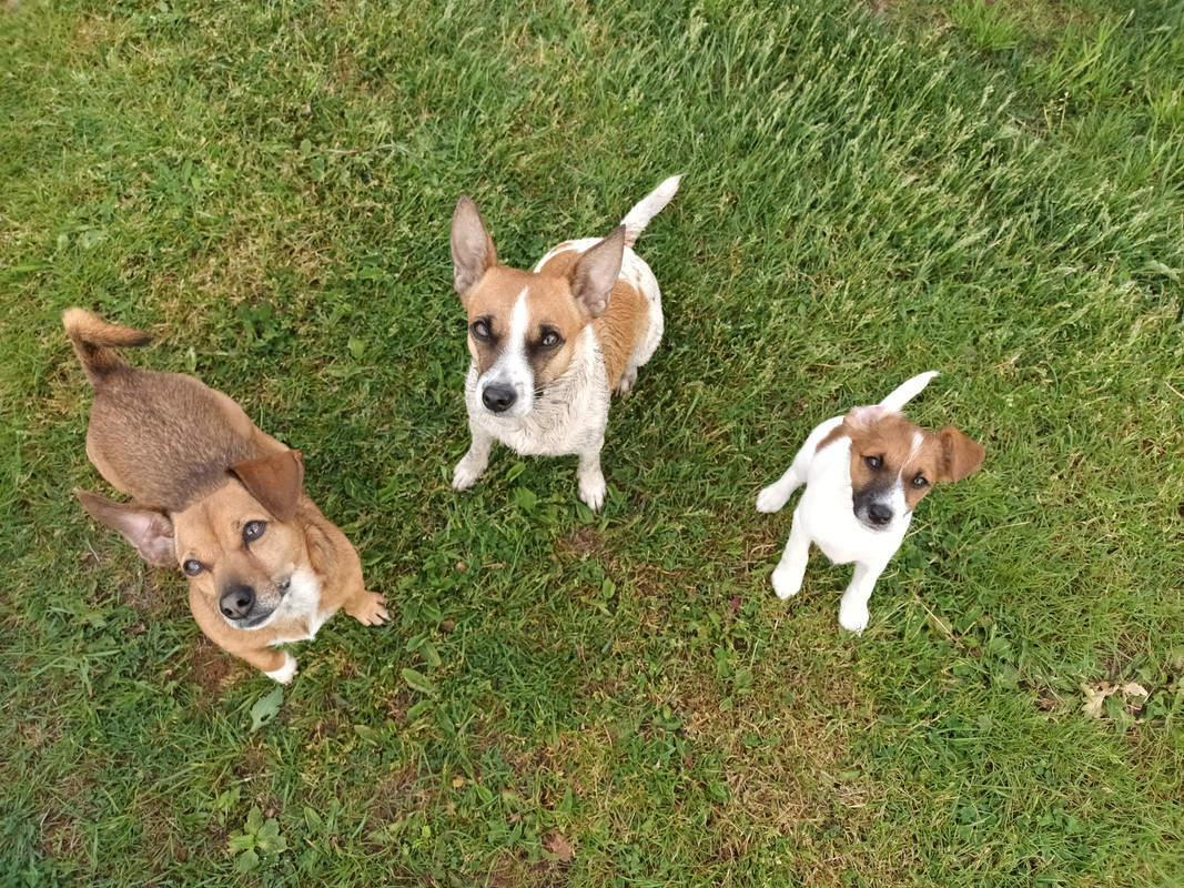 20220521 101005 — Postimages