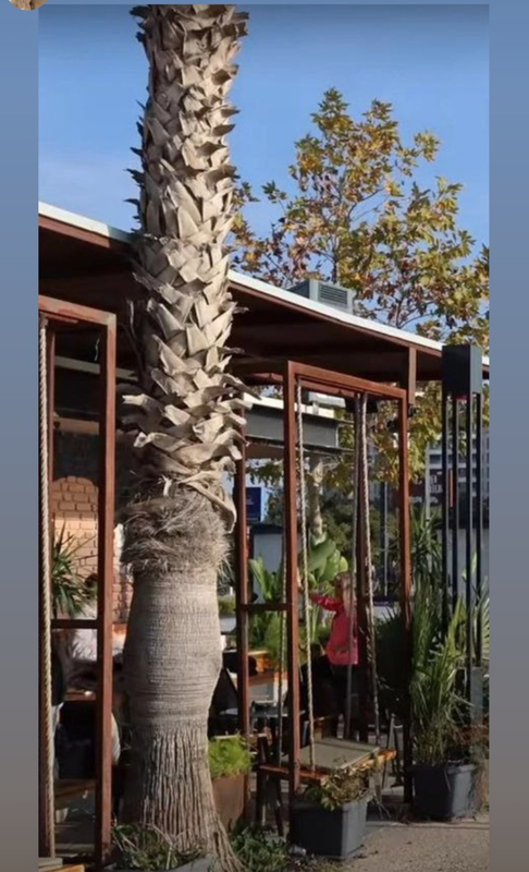 Nat IG In turkey 01 — Postimages