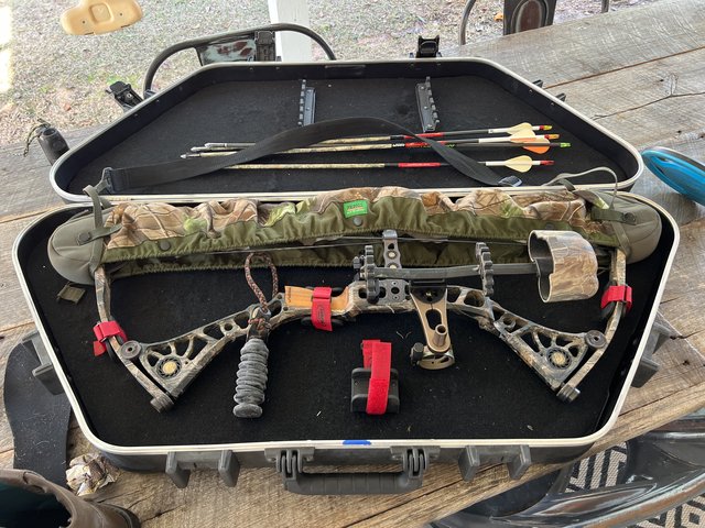 IMG 1022 — Postimages