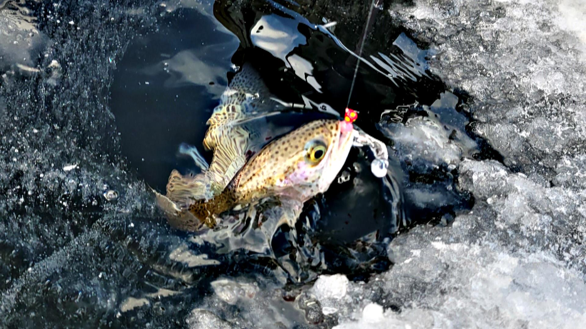 First Ice2 — Postimages