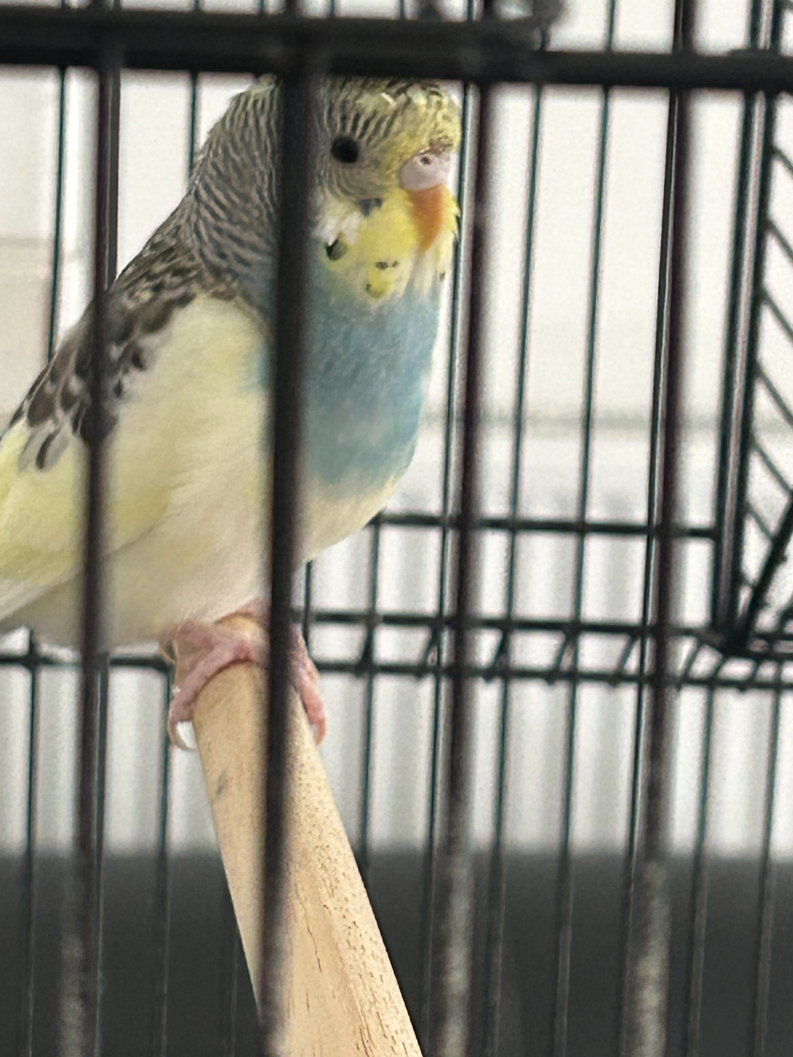 IMG 0989 — Postimages