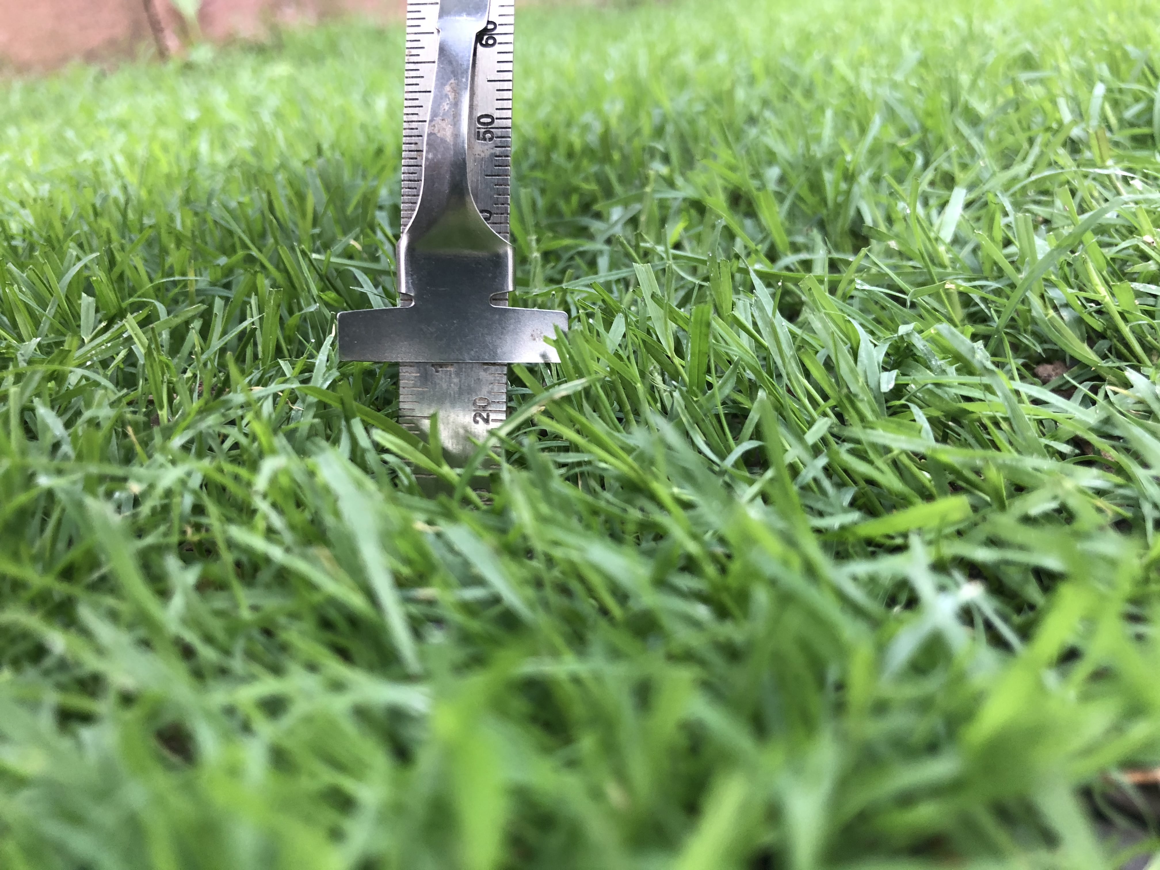 0605 6 — Postimages