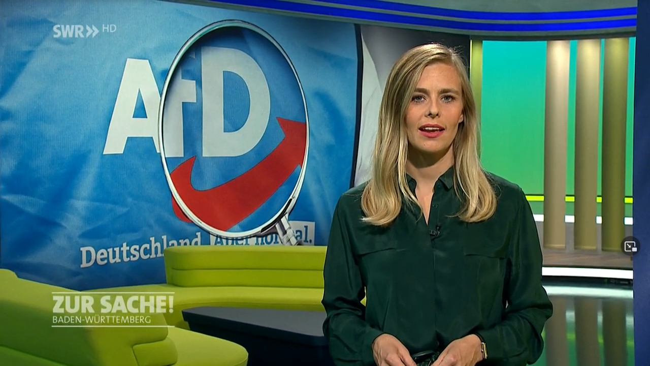 Screenshot 2022 07 14 at 20 52 04 SWR Fernsehen BW(1) — Postimages