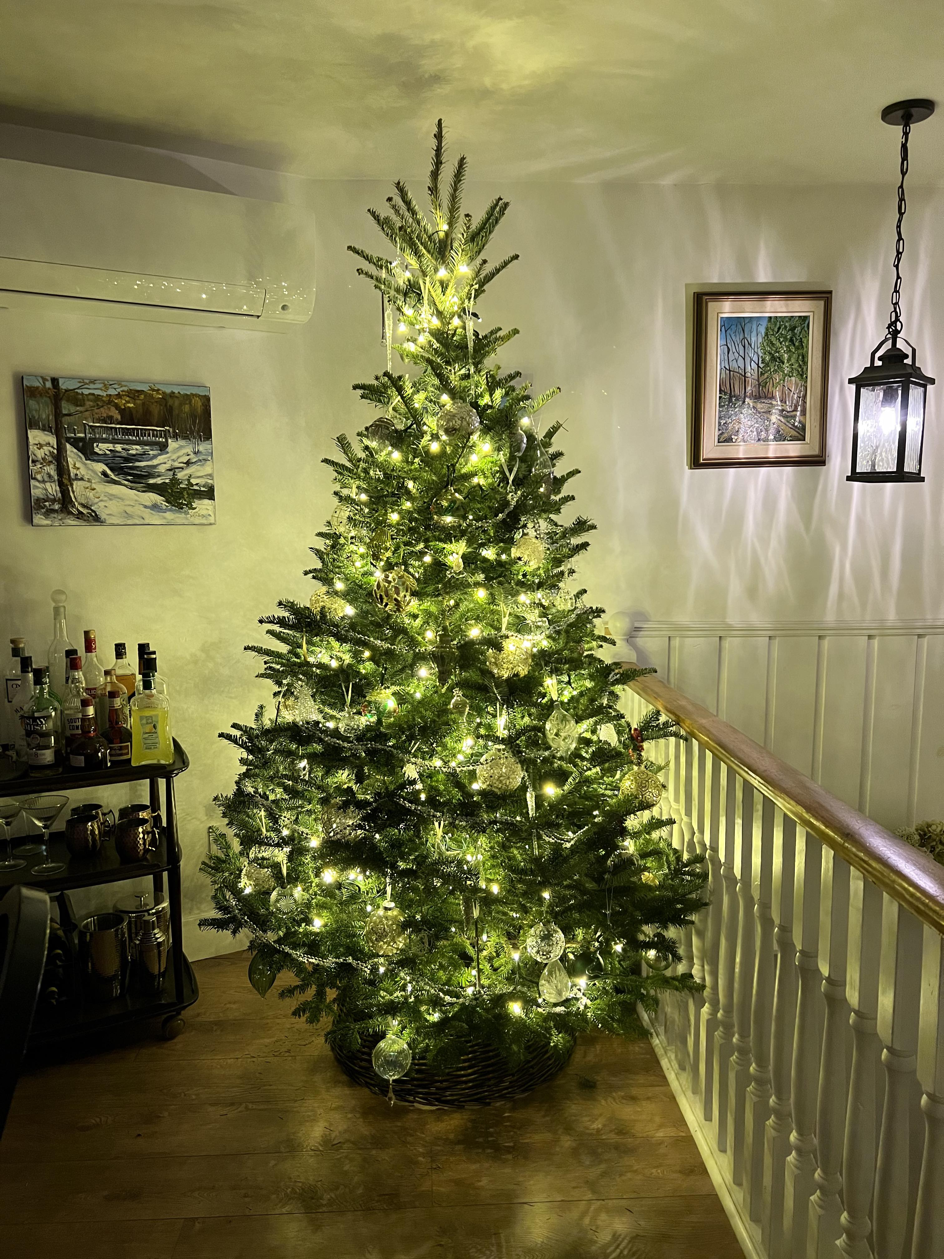 Dining Room Tree — Postimages