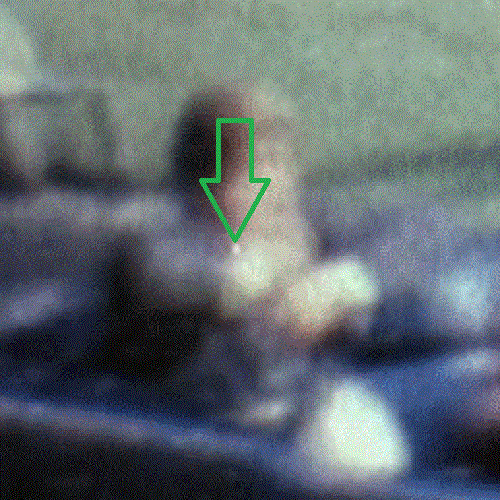 The Zapruder film used in Oliver Stone's JFK movie depicts a frontal ...