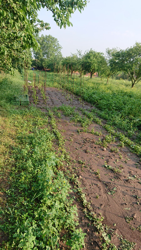 DSC 0685 — Postimages