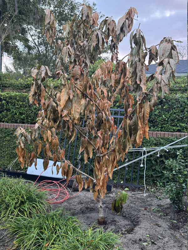 IMG 0032 — Postimages