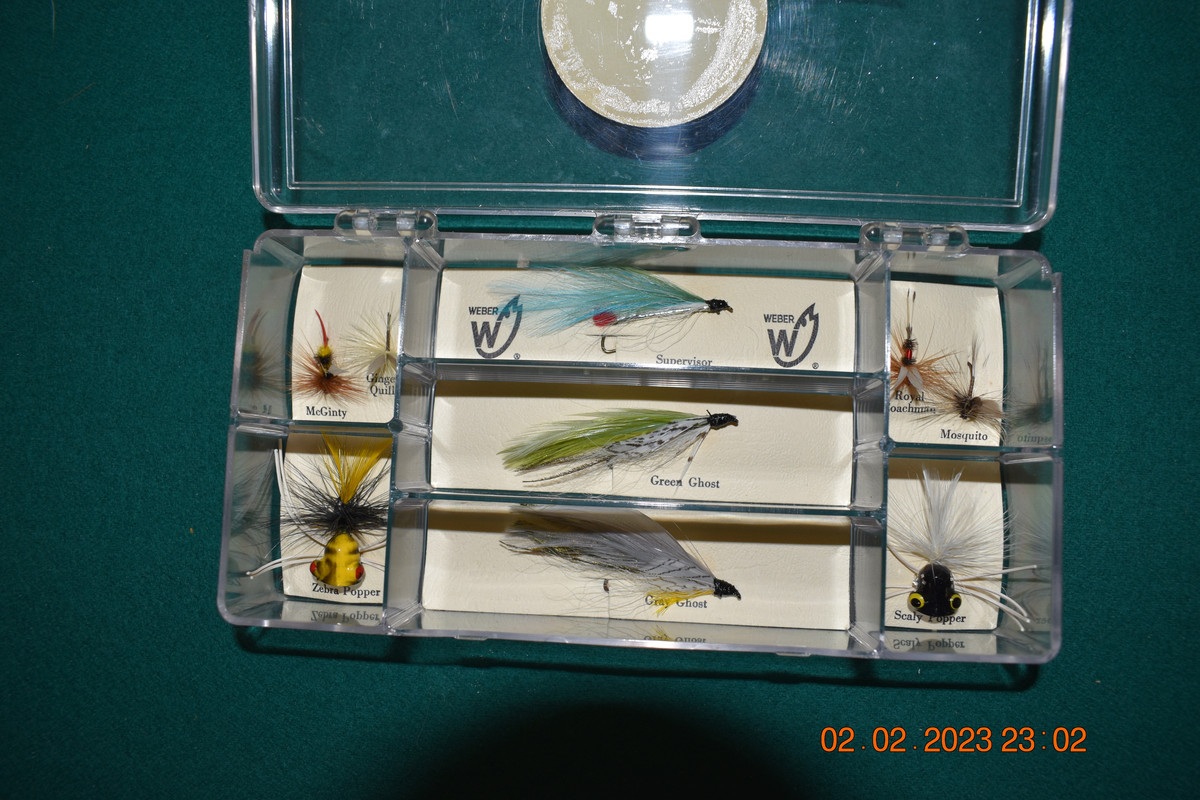 DSC 0119 — Postimages