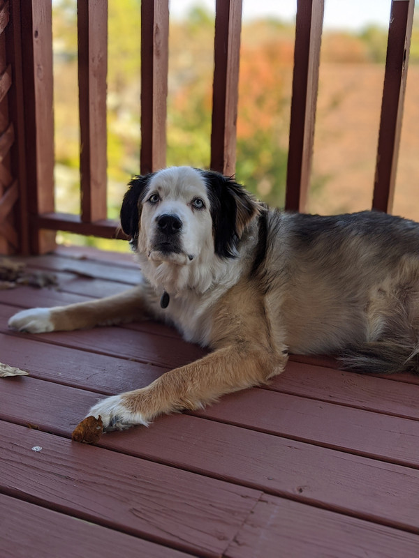 image000000 01 — Postimages