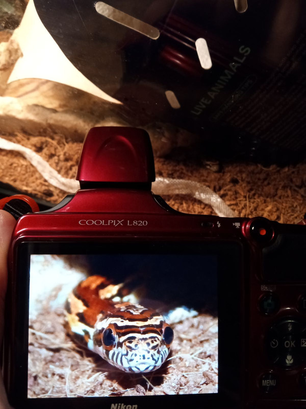 image000000 — Postimages