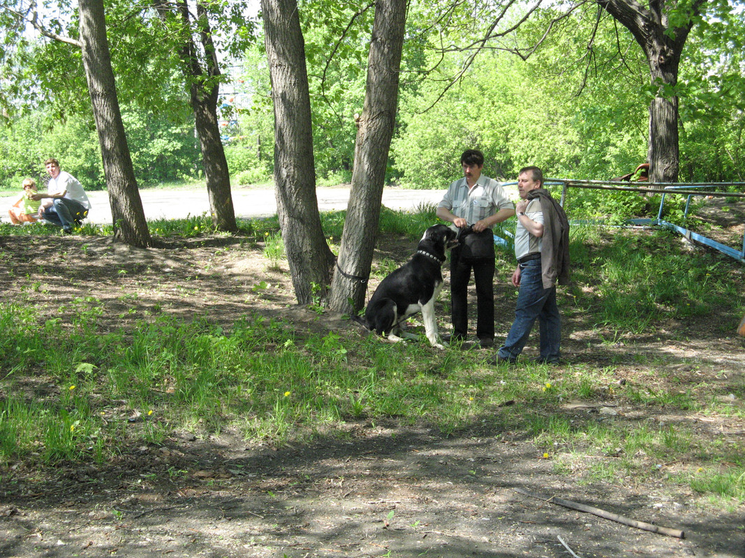 IMG 0816 — Postimages