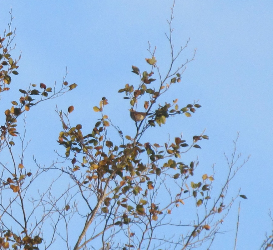 field fare — Postimages