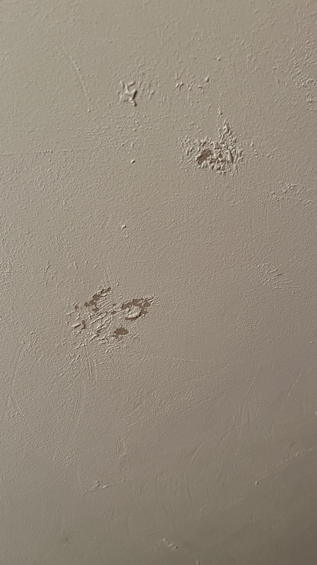 Paint bubbling — Postimages