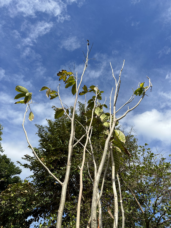 IMG 6972 — Postimages