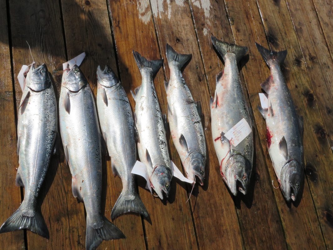 IMG 2018 — Postimages