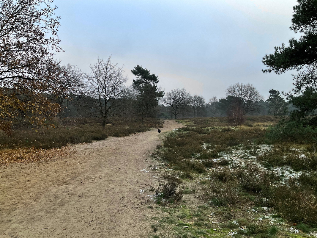 A10 C4 BB6 02 C8 4780 A2 A3 379 B54 E22 BB2 — Postimages