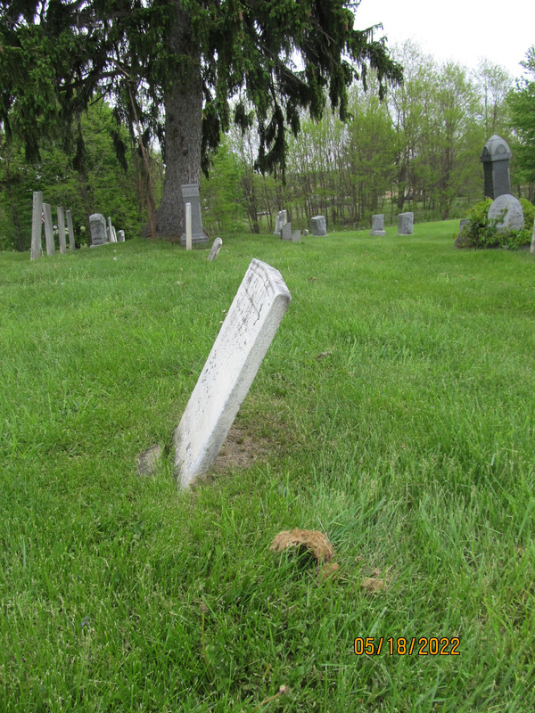 Fallen Monument Riga Cemetery IMG 7766 Sarah Ann Farnham 1861 North 60 ...
