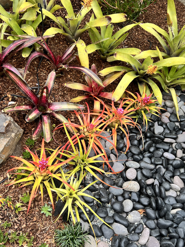 IMG 4366 — Postimages