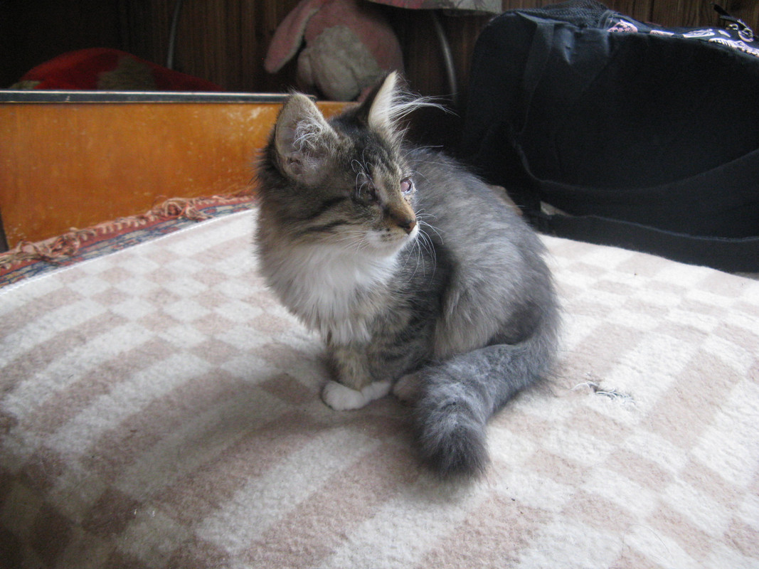 IMG 1585 — Postimages