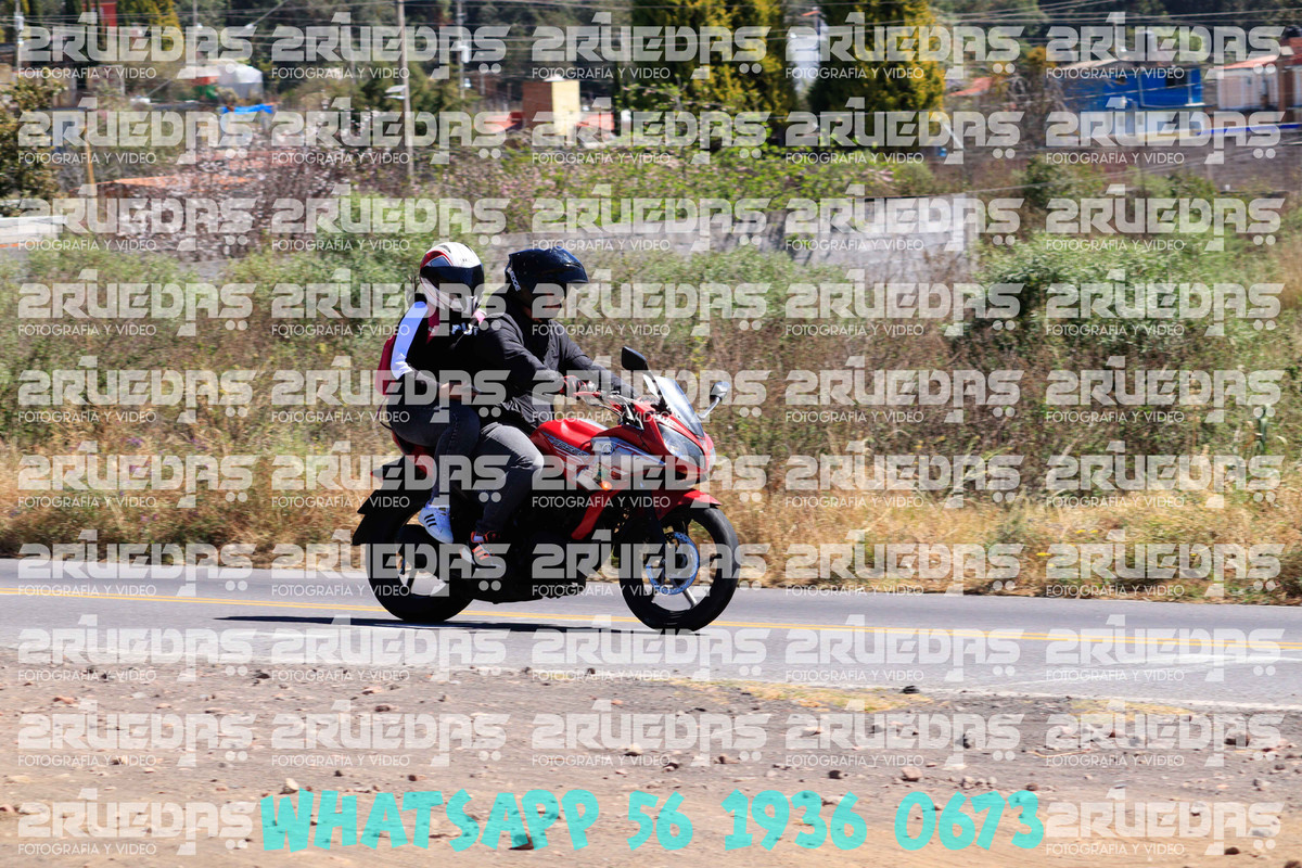 MG 0924 — Postimages