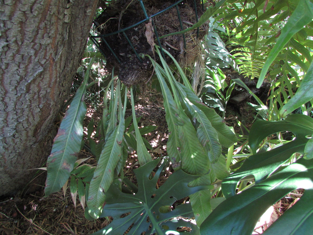 IMG 1298 — Postimages