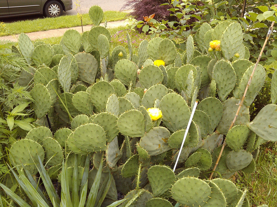 2013 06 19 11 31 03 568 — Postimages