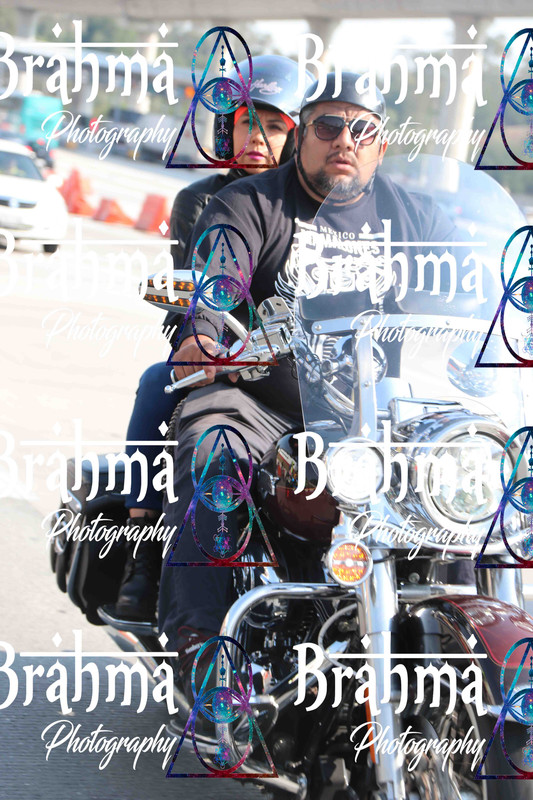 IMG 1203 — Postimages