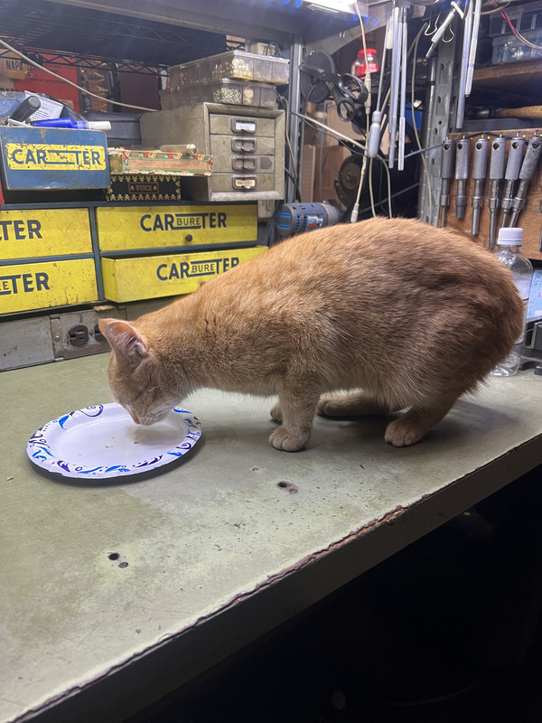 IMG 0519 — Postimages