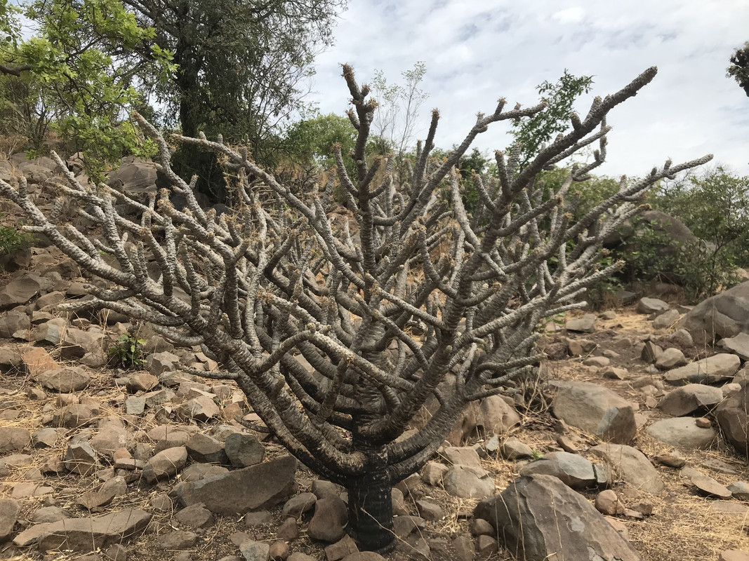 IMG 1107 — Postimages