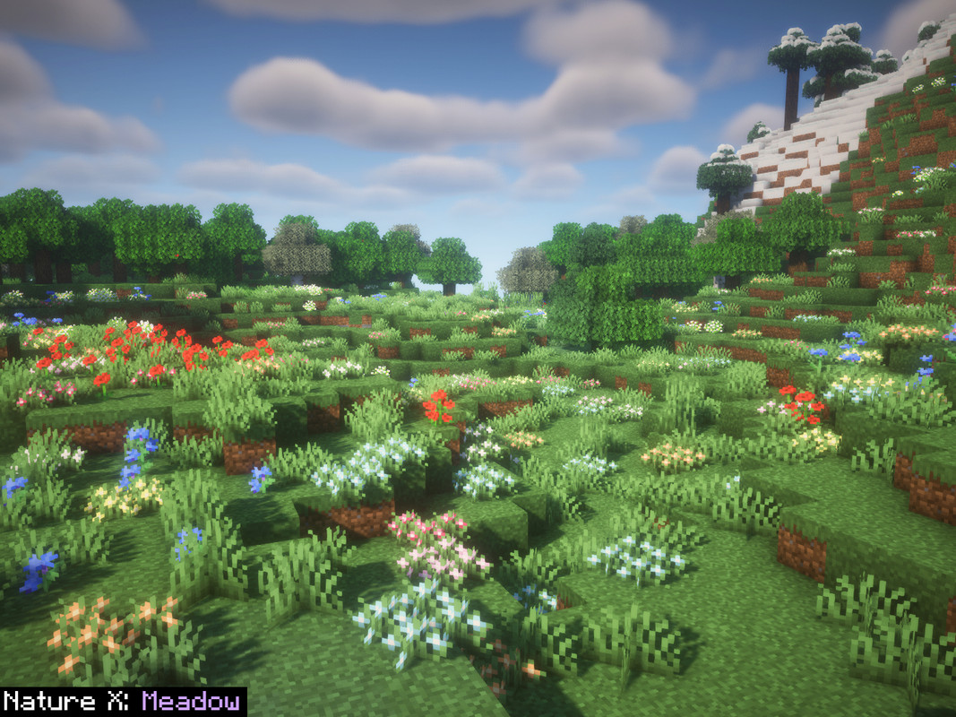 Nature X - Minecraft Resource Packs - CurseForge