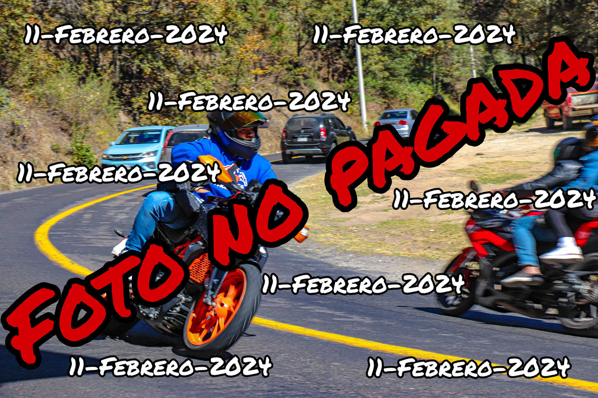 CC 205 — Postimages