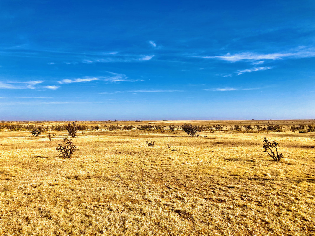 Texas Prairie Dog Hunt - 24hourcampfire