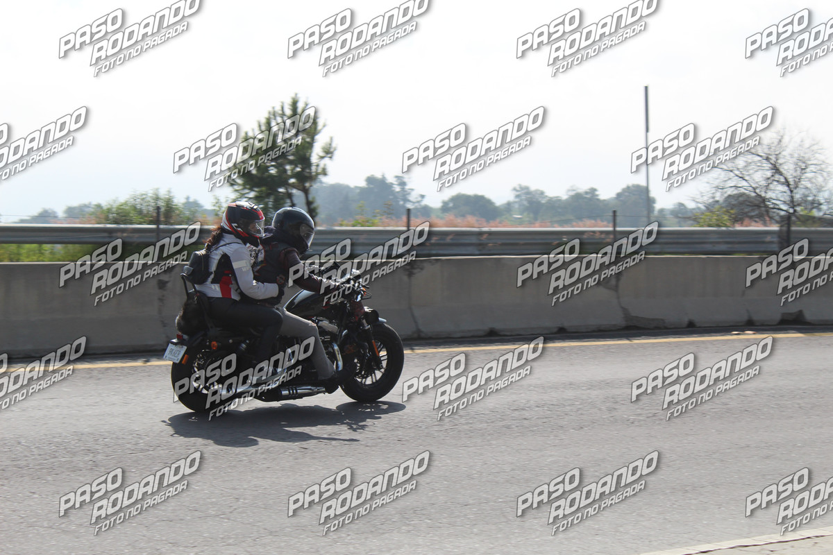 IMG 1327 wm 1489648 7000000002 watermarked — Postimages