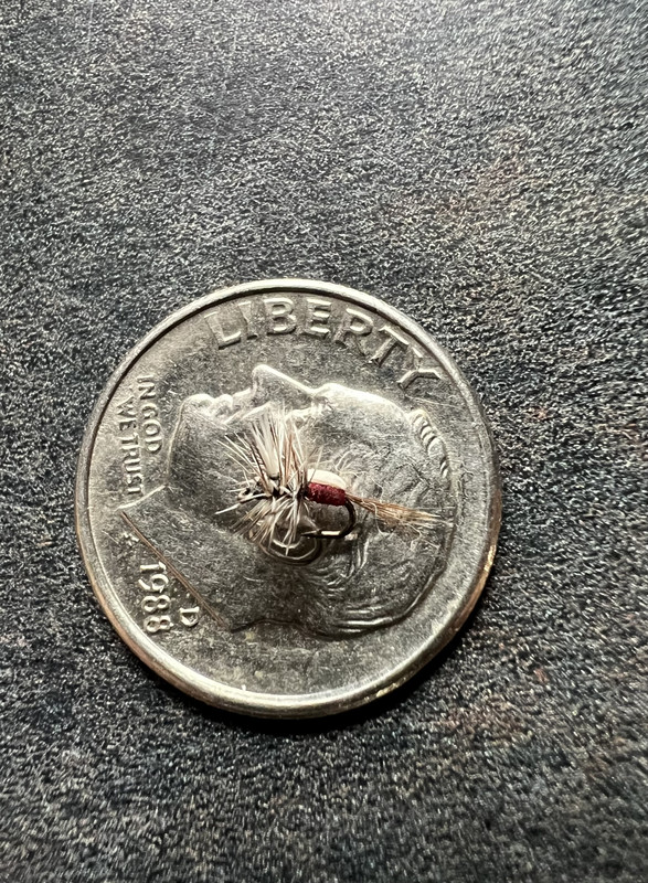 IMG 4841 — Postimages