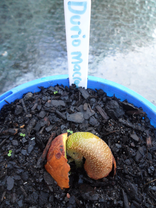 SAM 0795 — Postimages