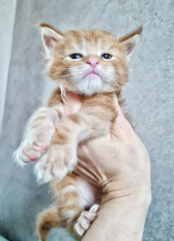 1000228340 02 — Postimages