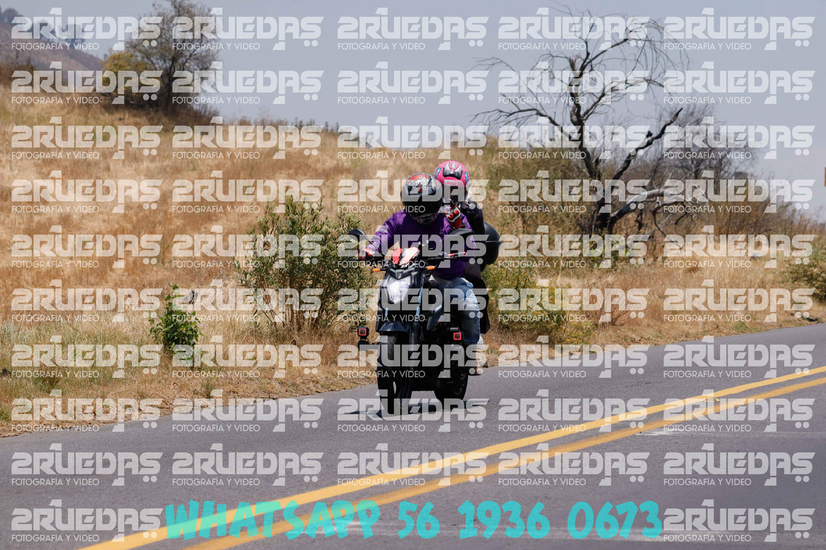 MG 0901 — Postimages