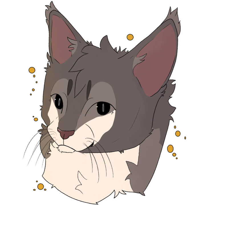 export 47 — Postimages