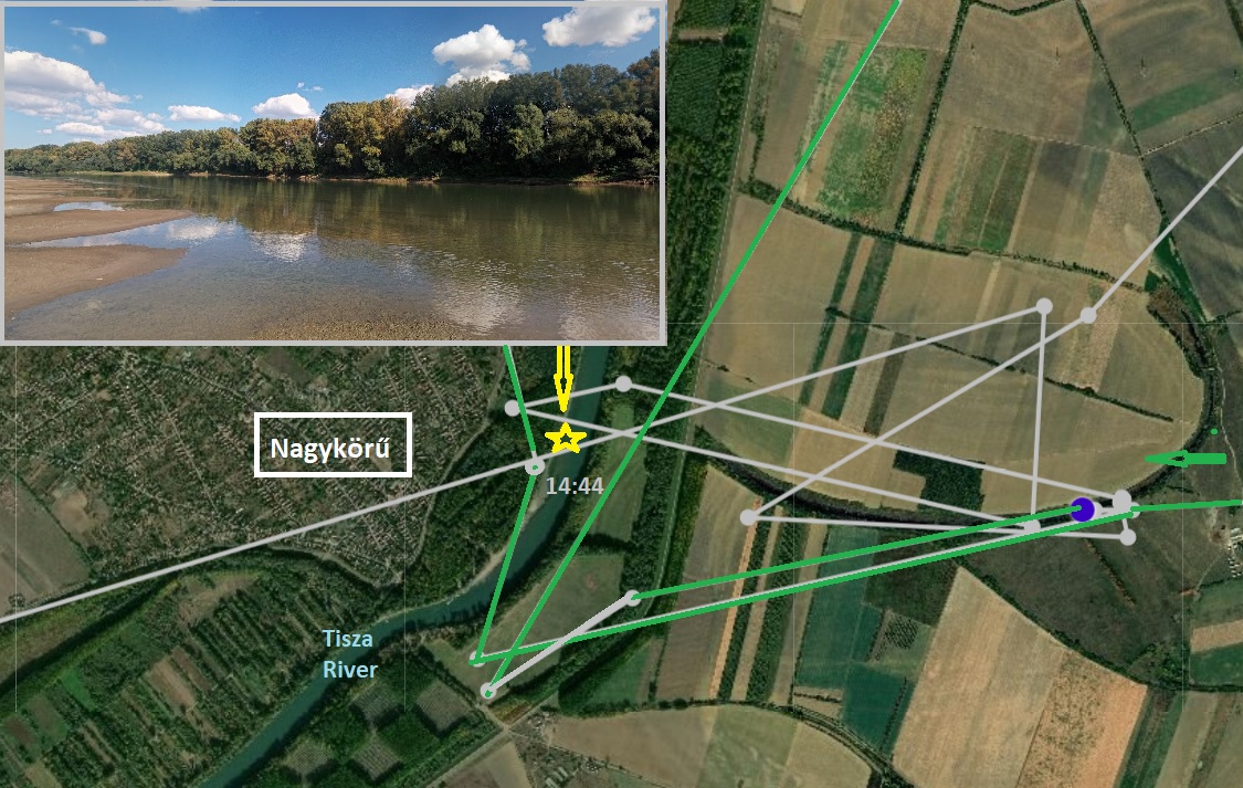 Black Stork Tracks - Page 469 - Looduskalender