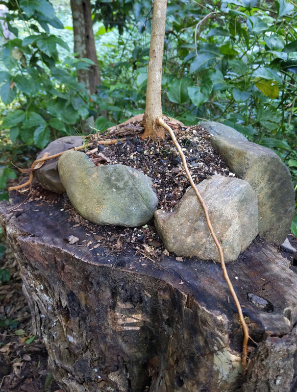 Imagepipe 1186 — Postimages