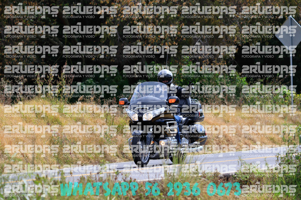 MG 1157 — Postimages