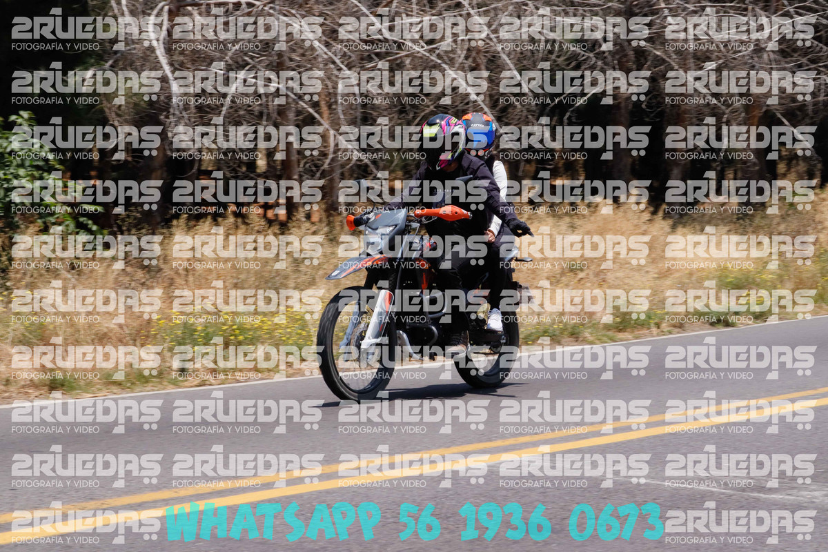 MG 0907 — Postimages