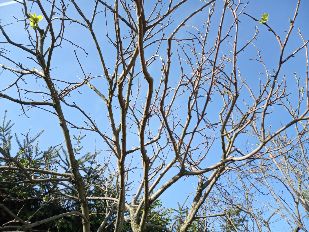 IMG 20230504 171244 489 — Postimages