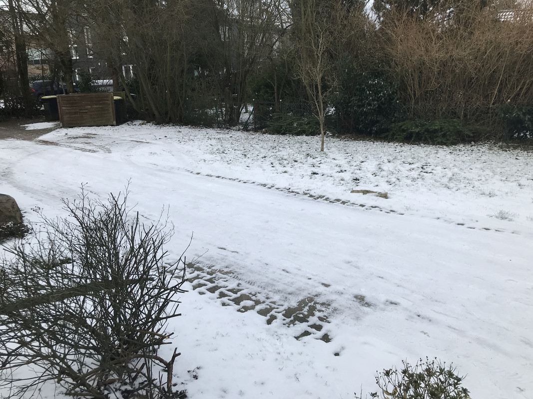 4177 BEE3 04 E2 4892 9 C2 B 575 B42 B3 E787 — Postimages